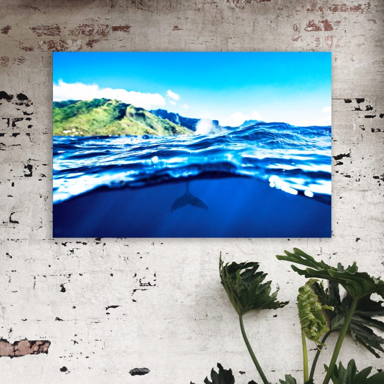 Fluke - Fine Art Print - Julia Nance - Photography Print Store