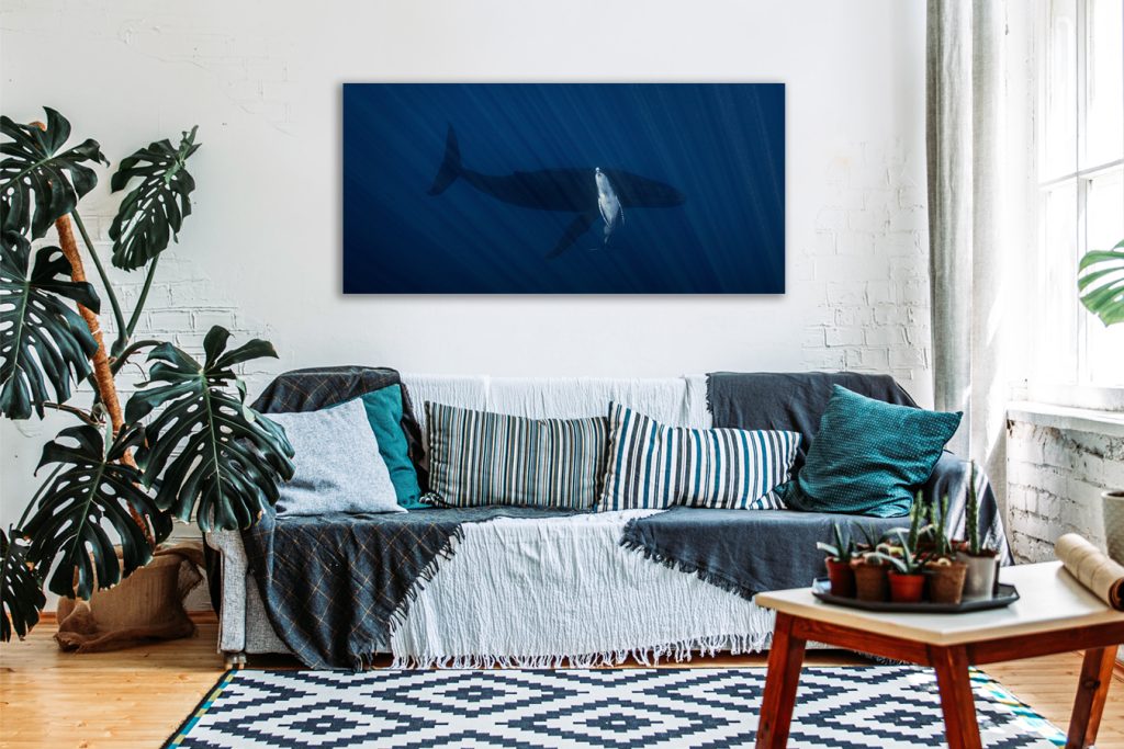 Ocean Angels - Fine Art Print - Julia Nance - Photography Print Store