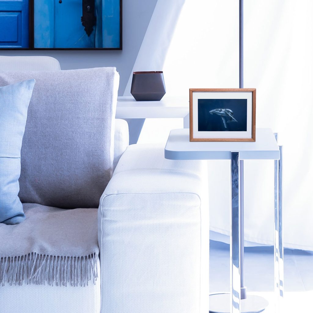 15 Image Humpback Whales Collection - Julia Nance - Photography Print Store