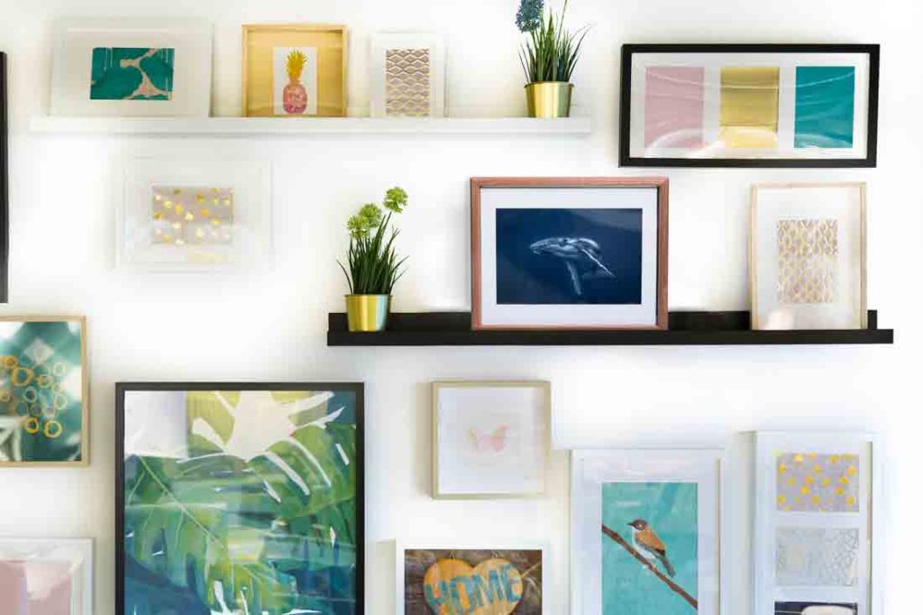 15 Image Humpback Whales Collection - Julia Nance - Photography Print Store